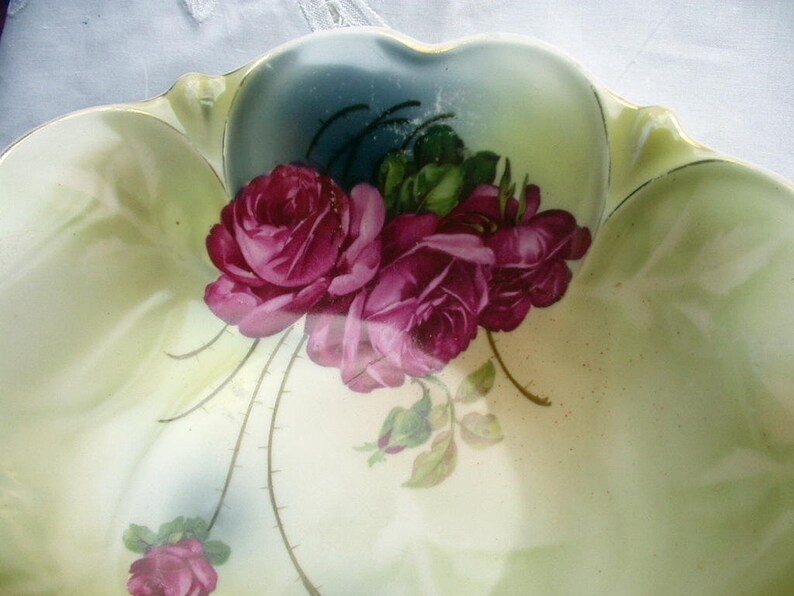 Roses Cabbage Rosebud Raspberry Red Hand Painted Pattern Large 10 Inch ...
