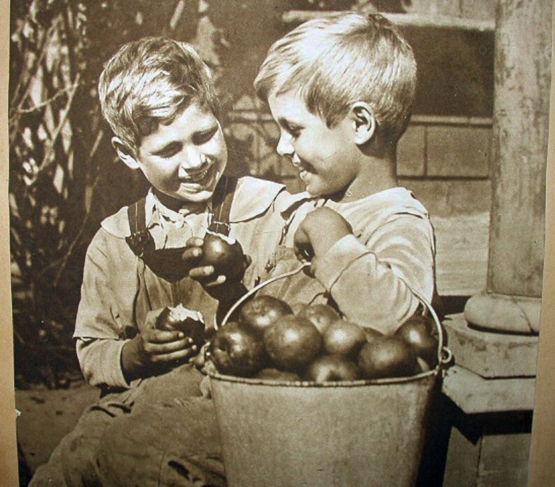 Farm Pioneer Boys Eating Apples From Bucket 1917 Original Antique ...