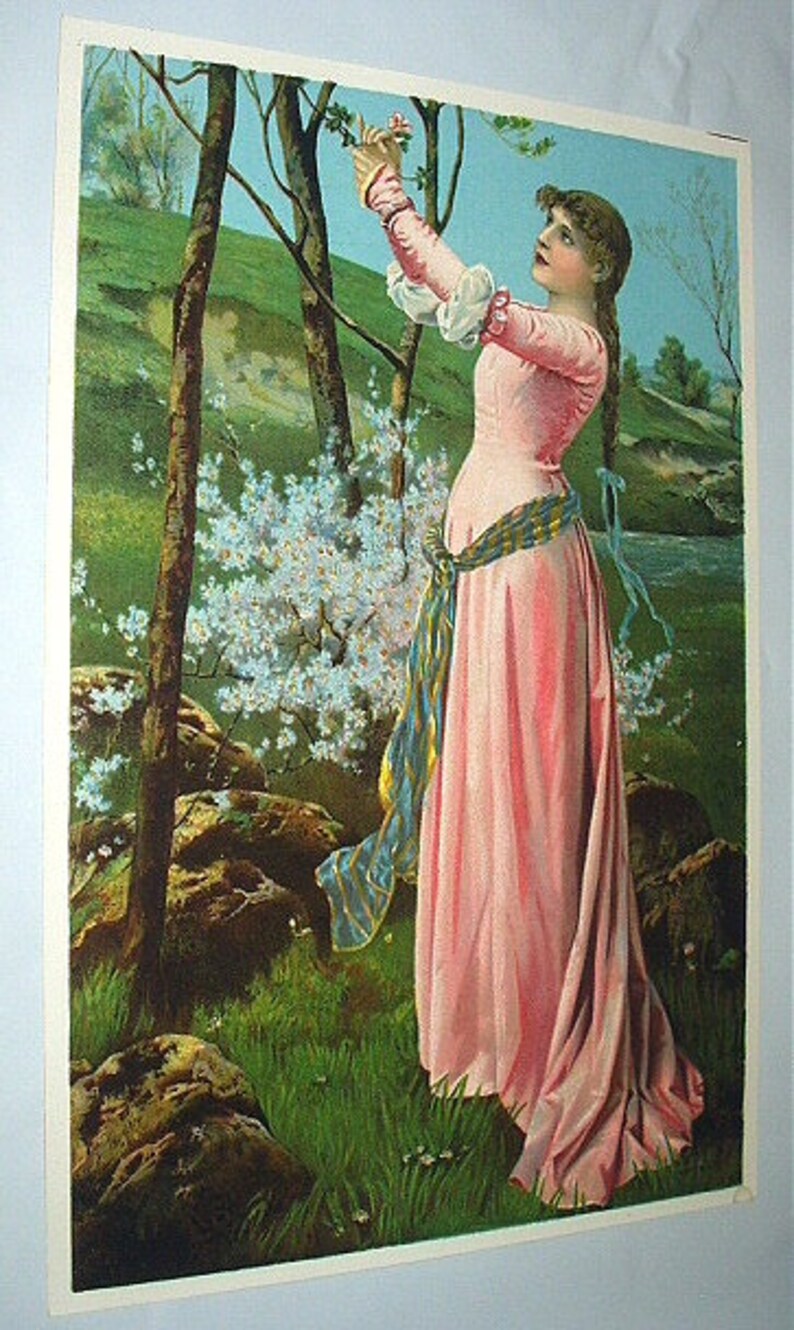 Victorian Lady in Pink Gown Gathering Flowers Original Antique ...