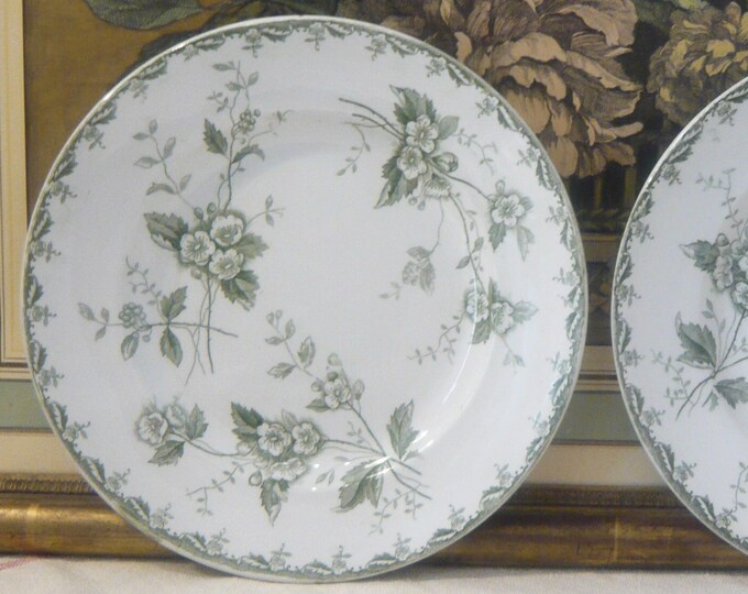French Antique Ironstone Plates Green Transferware Set of 2 Dinner ...