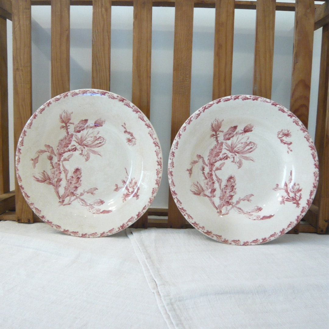 Antique GIEN Ironstone Deep Plates Cactus Model Set of 2 Soup Plates ...