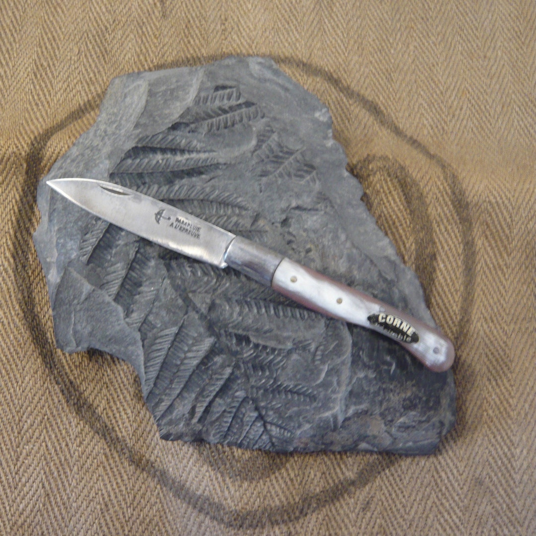 French Antique Pocket Knife Bovine Horn Handle and Brass Rivets Brand ...