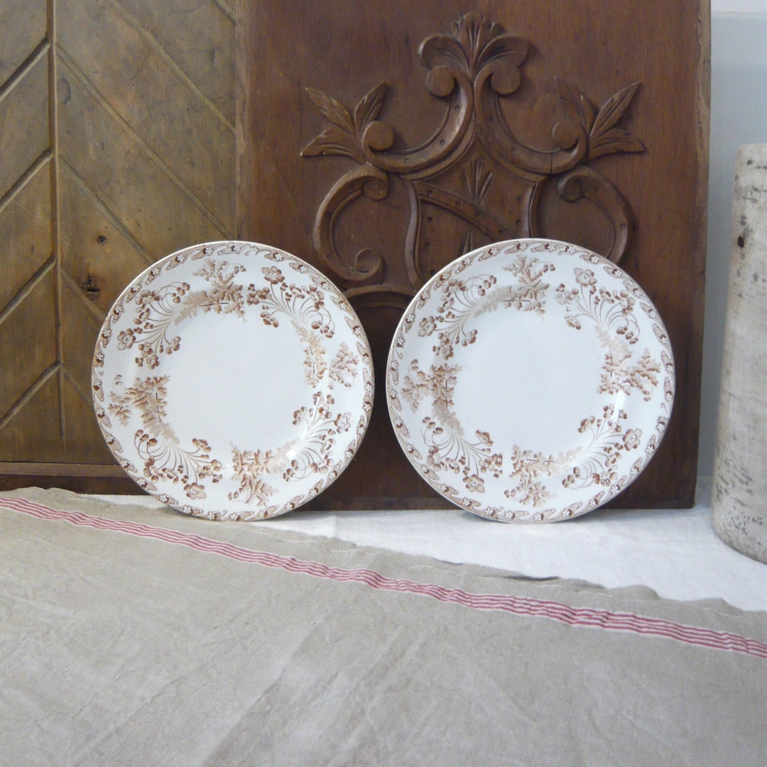 Pair of Transferware Dinner Plates Set of 2 French Antique Longwy ...