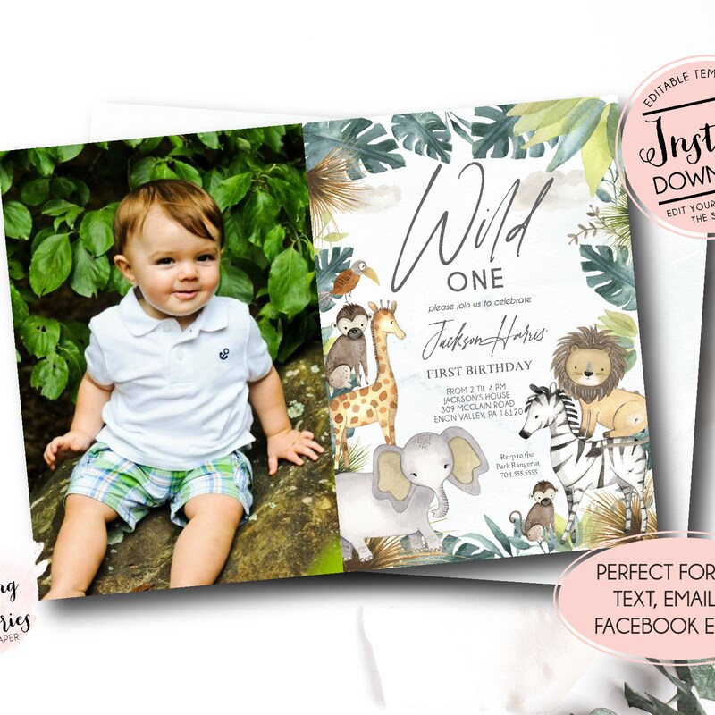 Wild One Birthday Boy - Etsy