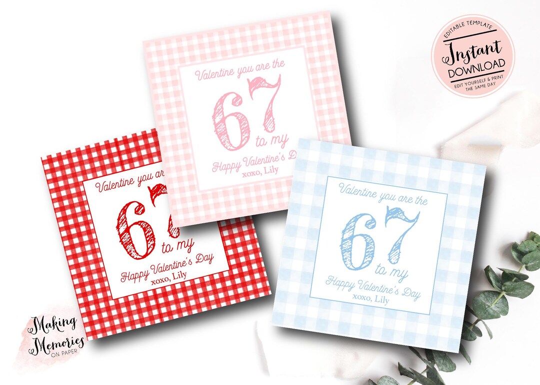 Printable Valentine Tags, Gingham 67 Valentine Favor Tags, Preppy Six ...