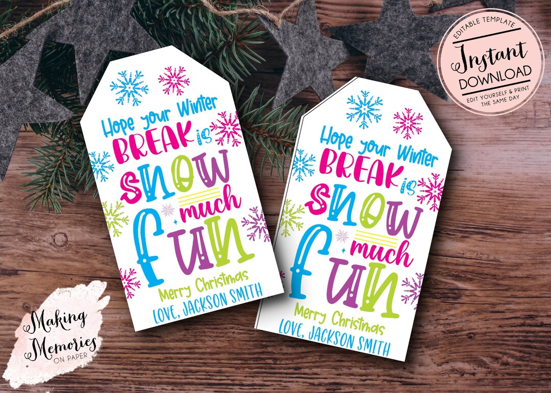 Hope Your Winter Break is Snow Much Fun Tag, Teacher School Classroom ...