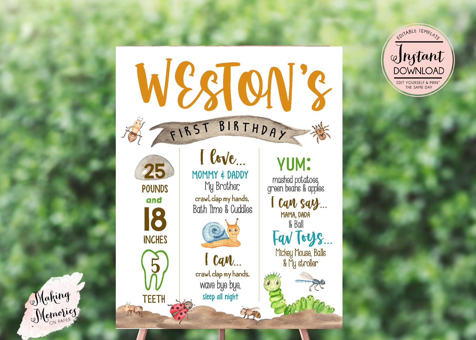 Bug Milestone Poster, Insect Milestone Poster Template, Editable Bug ...