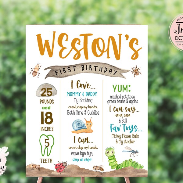 Bug Birthday Party - Etsy