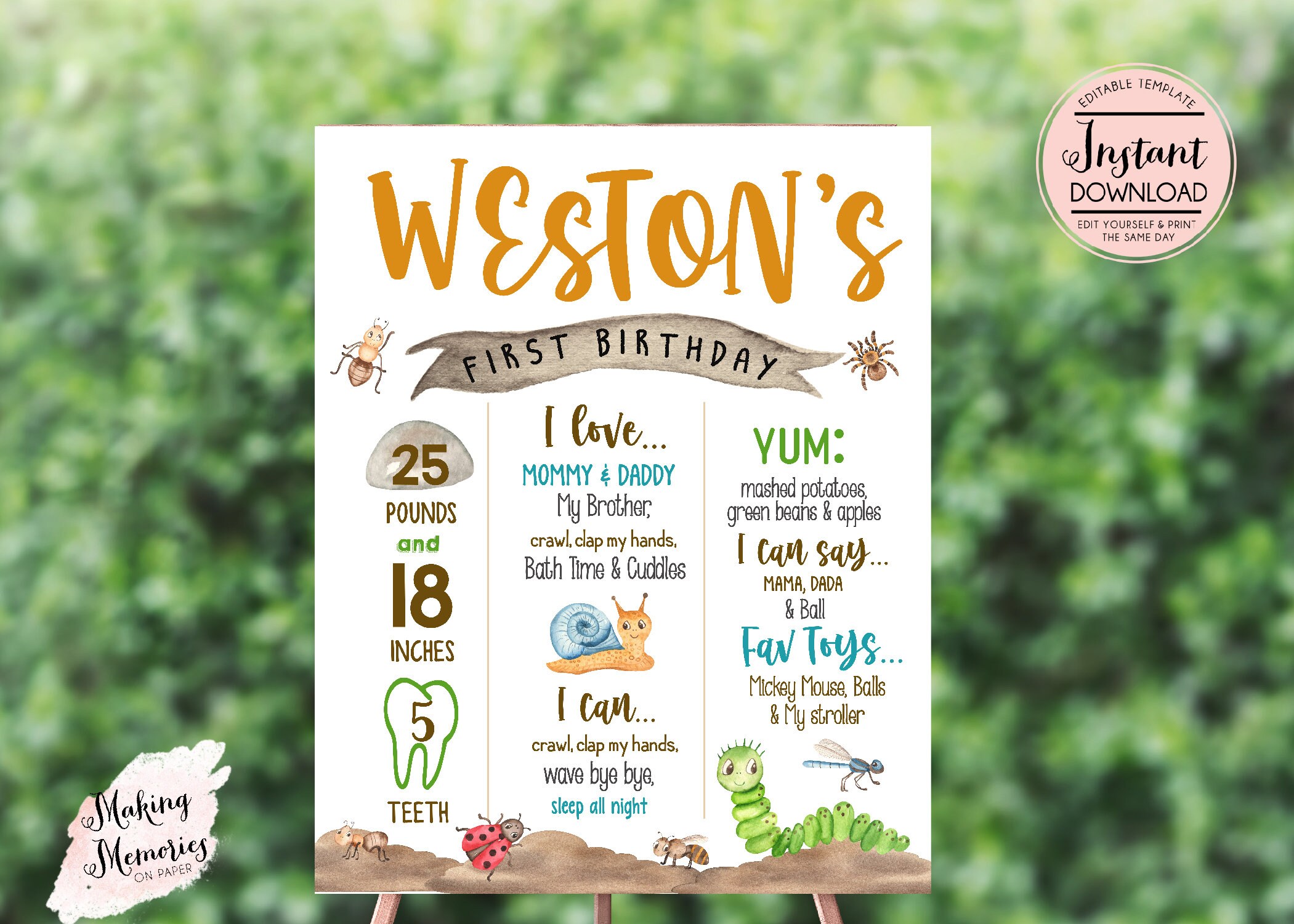 Bug Time Capsule Insect Birthday Time Capsule Cards Template - Etsy