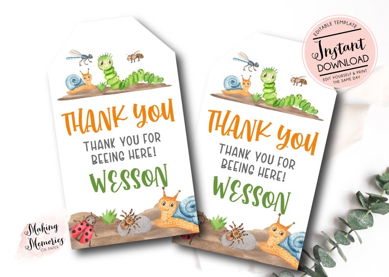 Bug Birthday Food Labels, Editable Insect Food Tent Cards, Insect ...