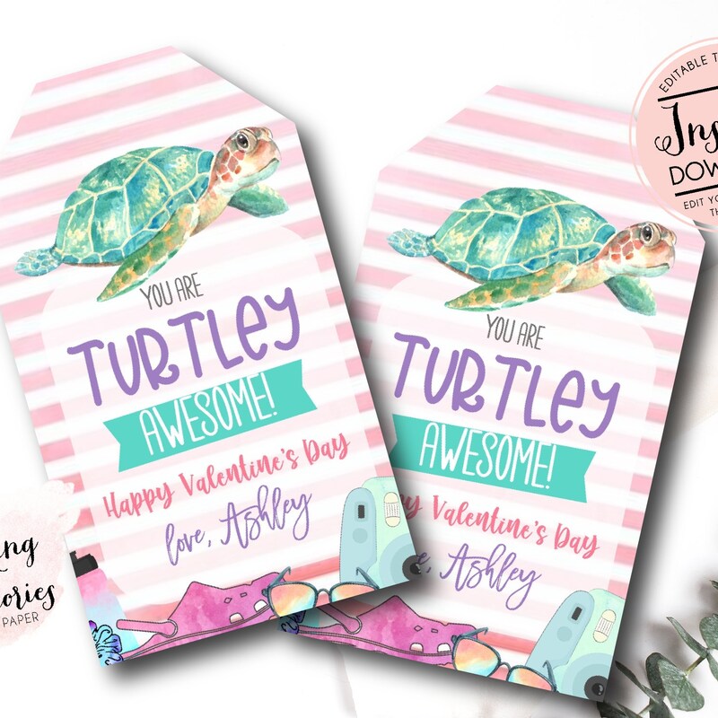 Turtle Valentine - Etsy