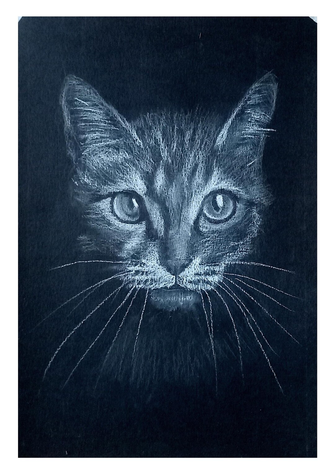 Custom Hand-drawn Pet Portraits Personalized Pencil Drawings of Dogs ...