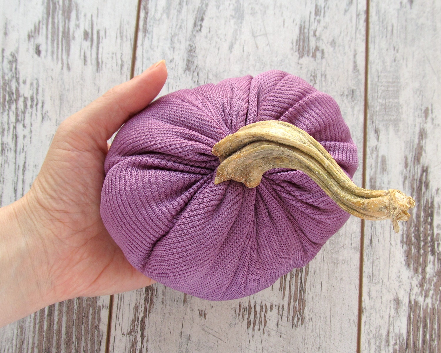 Velvet Purple and Brown Pumpkins Rustic Thanksgiving - Etsy
