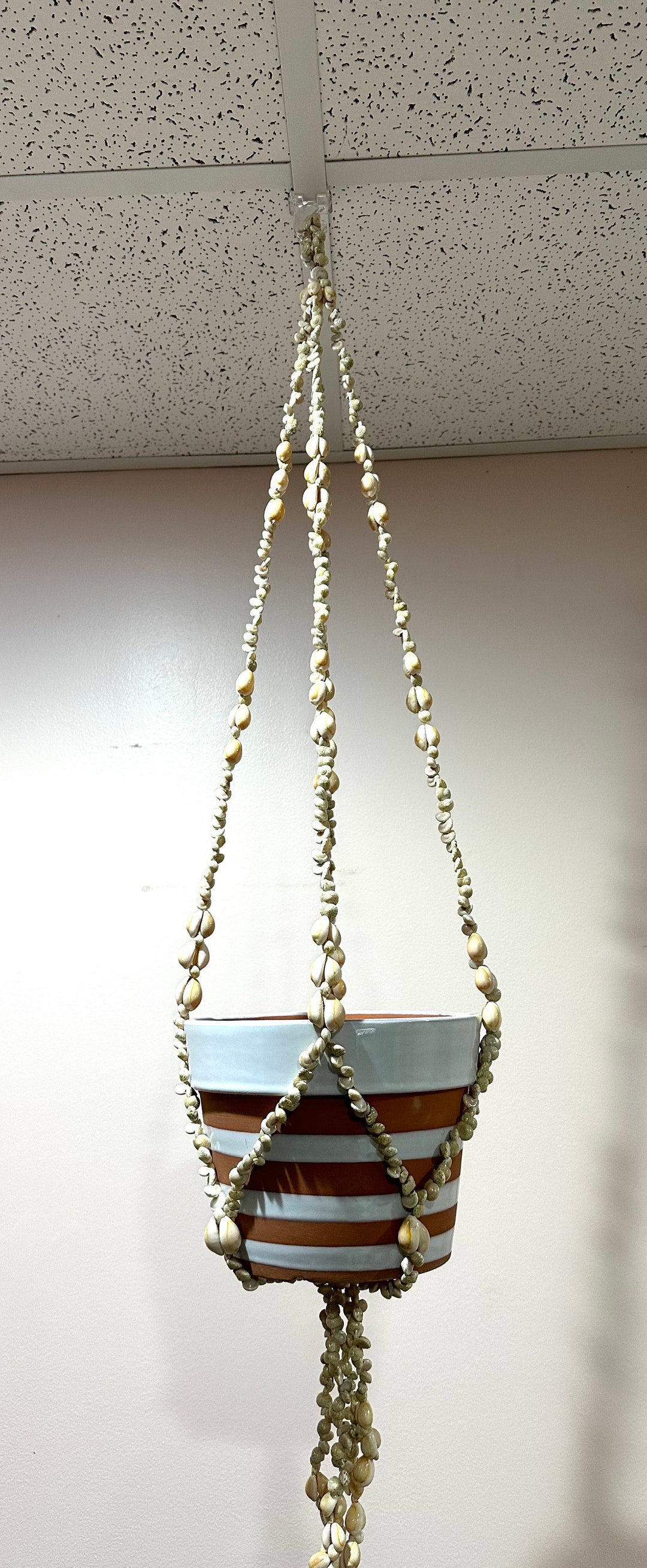 Vintage Sea Shell Plant Hanger NWT - Etsy