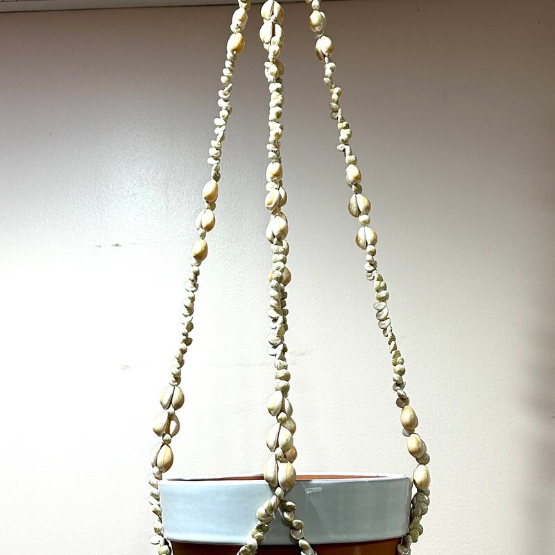 Shell Plant Hanger - Etsy