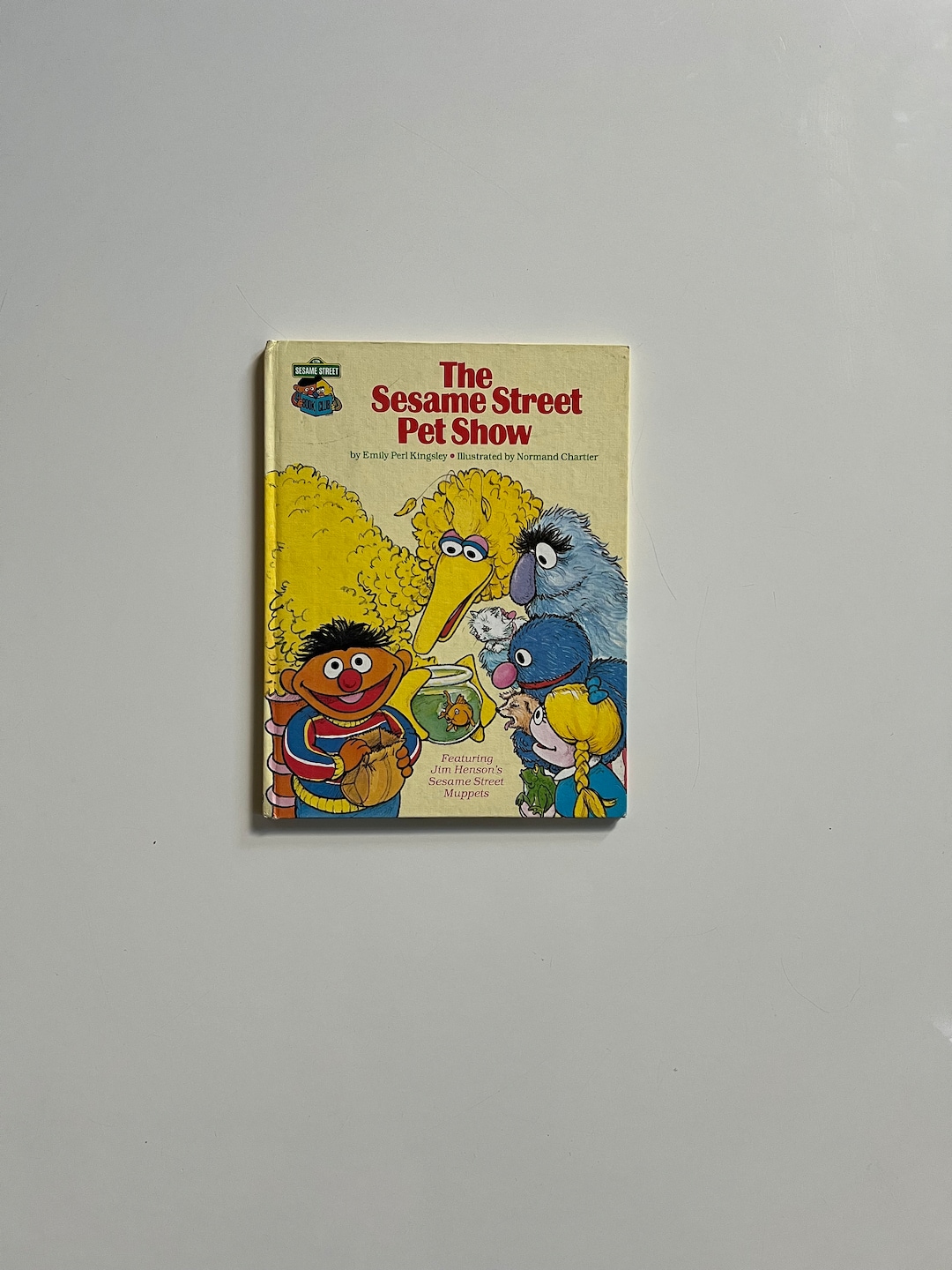 Vintage Sesame Street Book the Sesame Street Pet Show by Emily Perl ...
