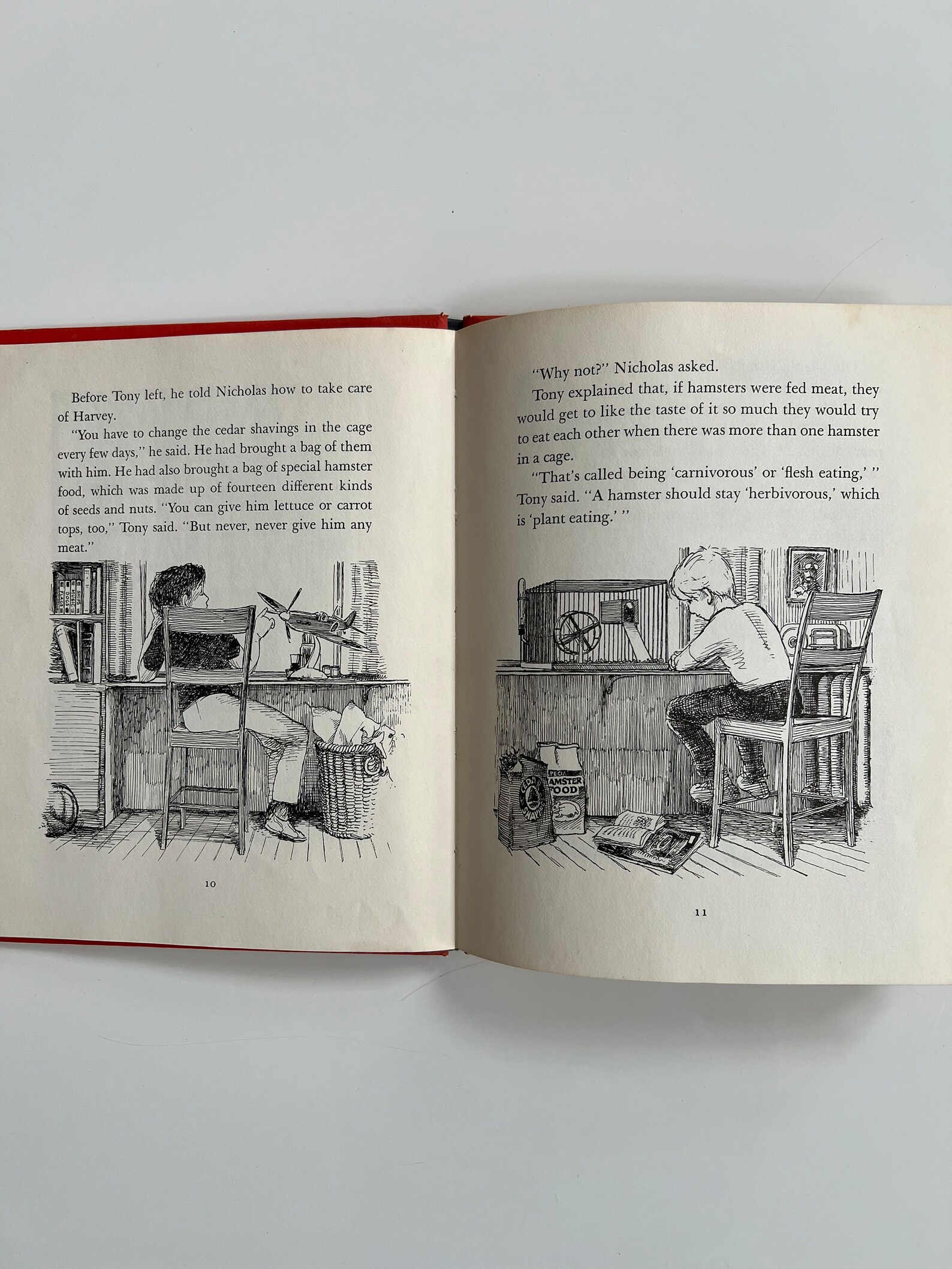 Vintage Book the Great Hamster Hunt by Lenore Blegvad With ...