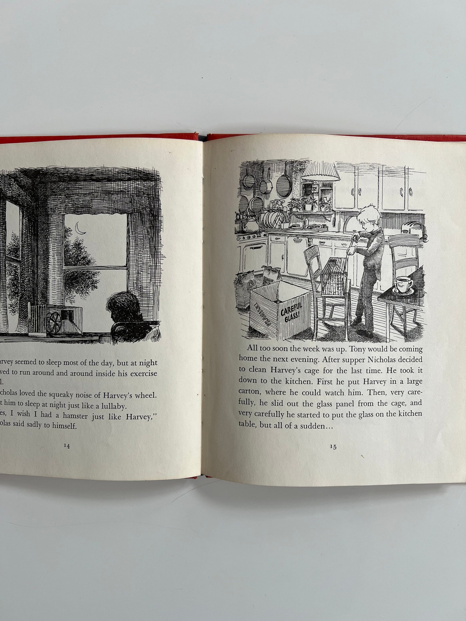 Vintage Book the Great Hamster Hunt by Lenore Blegvad With ...