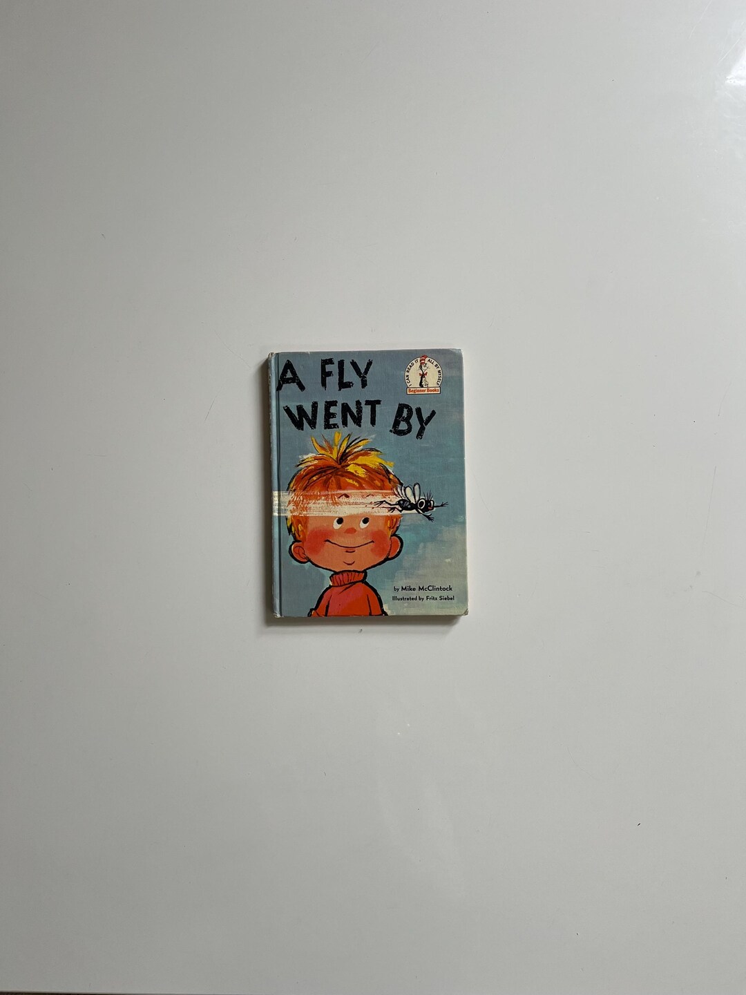 Vintage Childrens Book Hard Cover Dr Seuss Beginner Book A Fly Went by ...