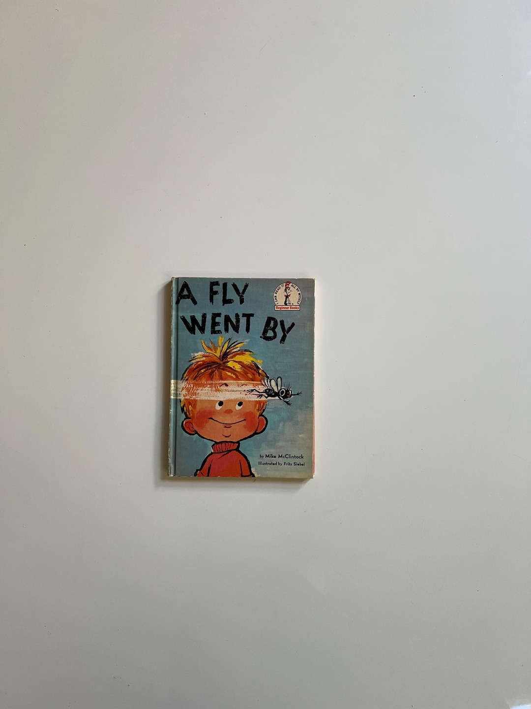 Vintage Childrens Book Hard Cover A Fly Went by by Mike Mcclintock ...