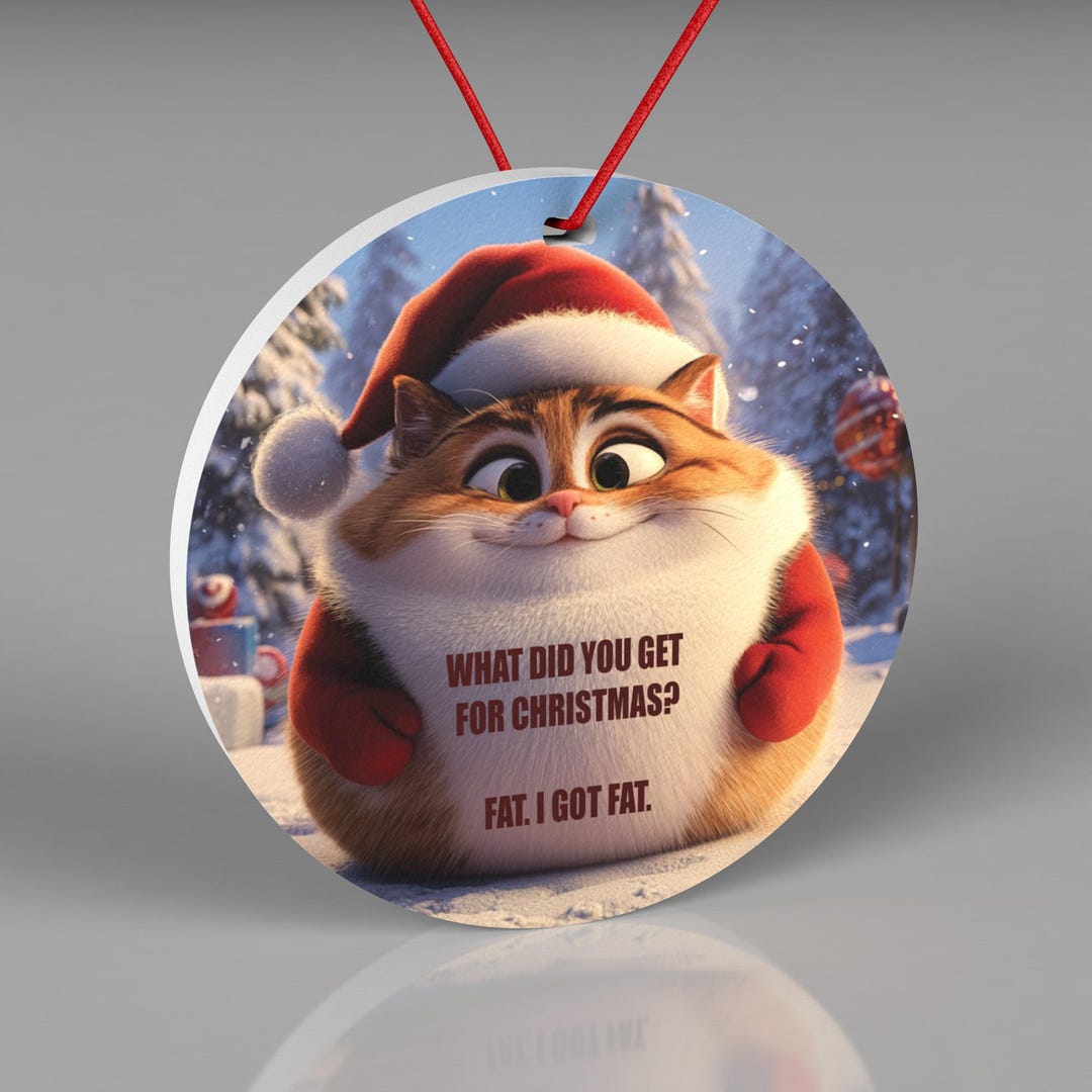 2024 Funny Christmas Ornament, Meme Ornament, Humorous Holiday ...