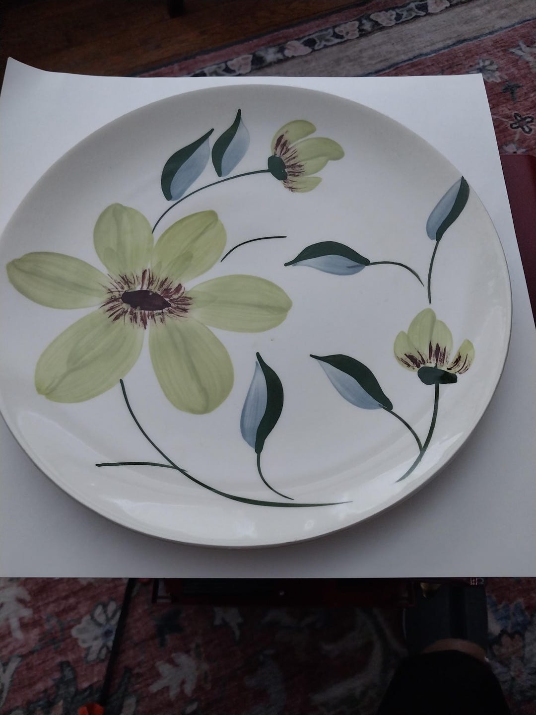 Blue Ridge Green Eyes Dinner Plate - Etsy
