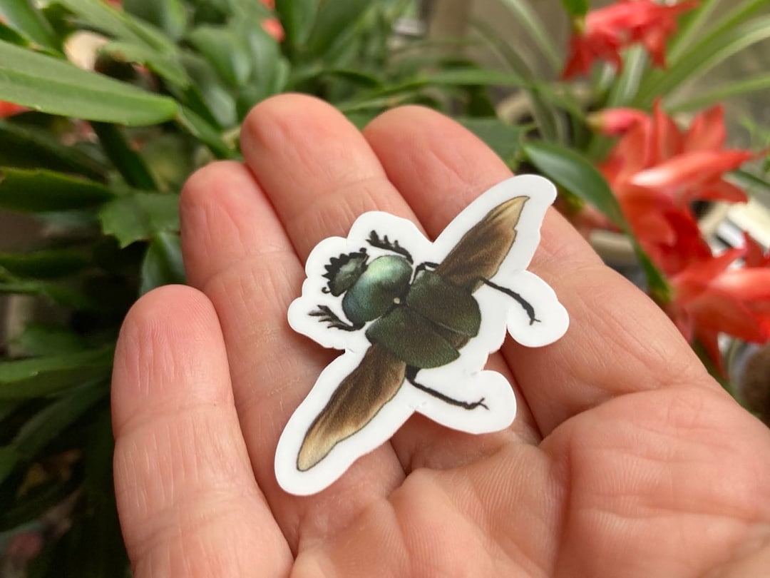 Scarab Beetle Sticker, Insect Sticker, Entomology Gift, Entomologist ...