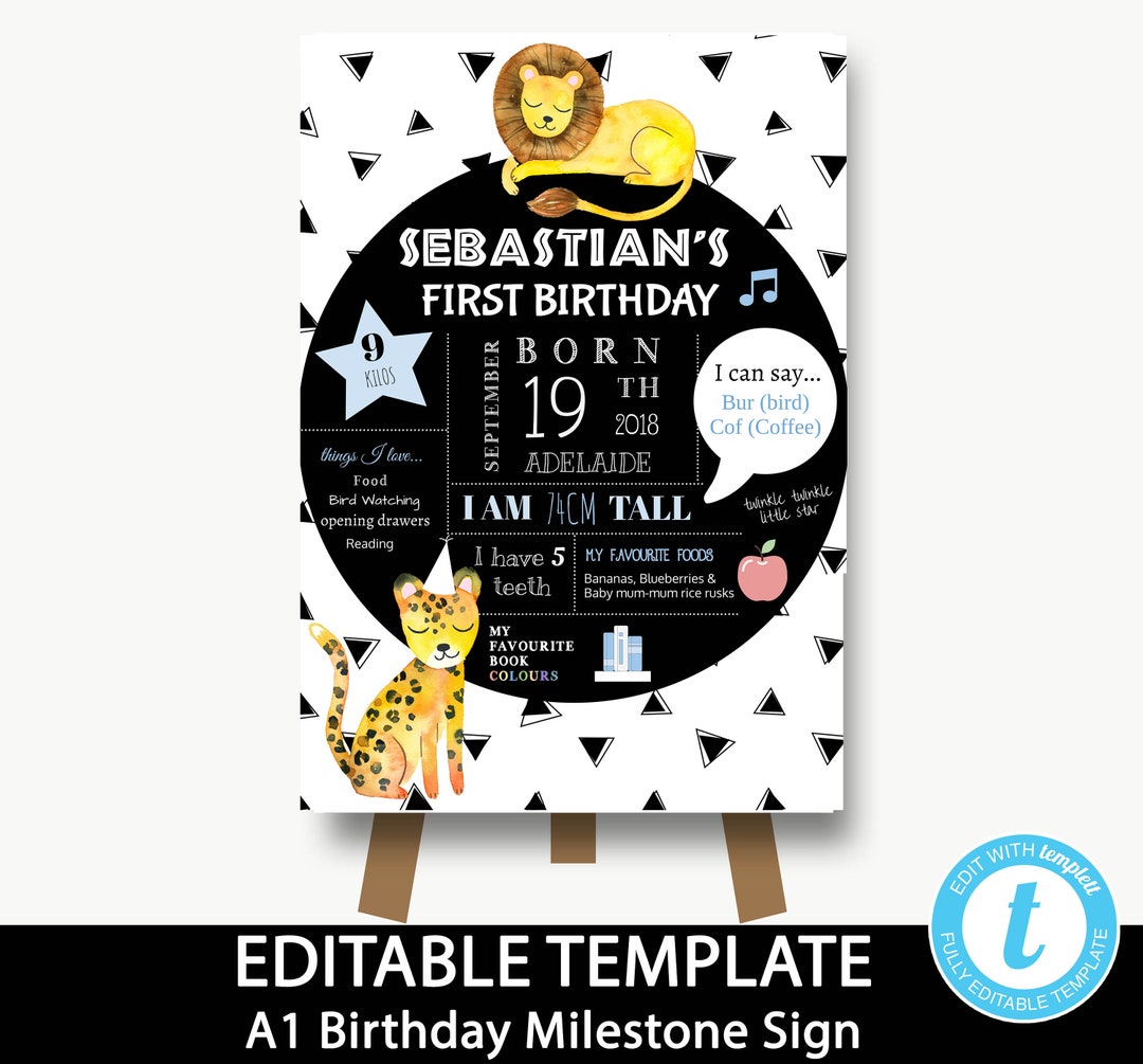 First Birthday Milestone Sign/1st Birthday Sign/a1 Birthday Milestone ...
