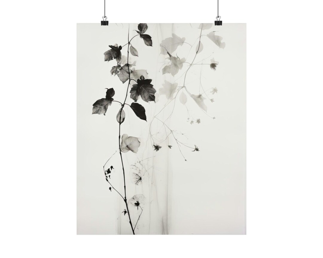 Dainty Floral Print Black & White Flowers Photo Poster - Etsy