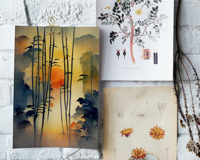Japanese Bamboo Trees Sunset Poster Print, Oriental Asian Bohemian ...