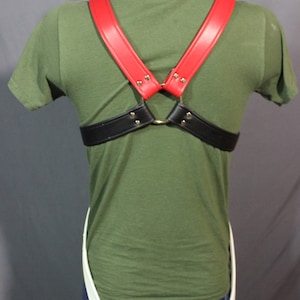 Gotta Own Them All! New Pokeball Harness! - Etsy