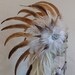 Cream Brown Ginger Tan Feather Headdress With Silver Medallions - Etsy