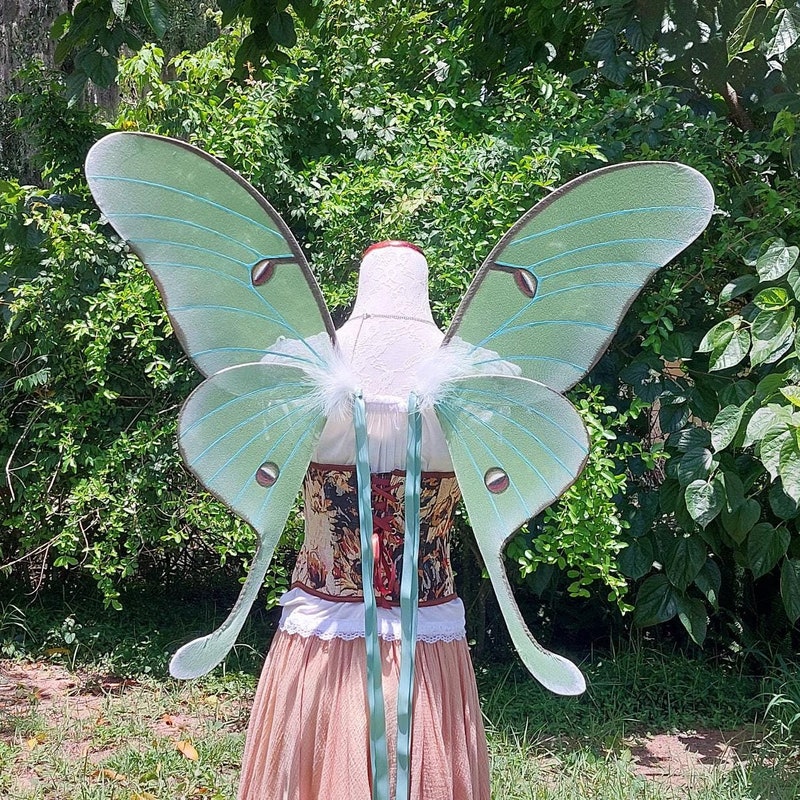 Luna Moth Wings - Etsy