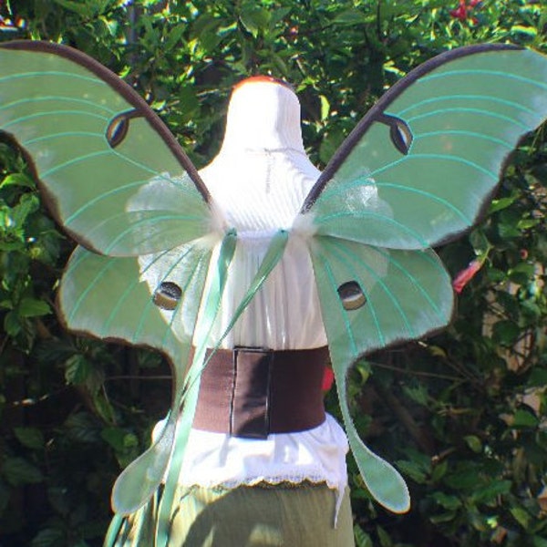 Luna Moth Wings - Etsy
