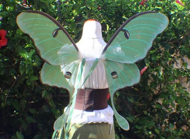 Custom Large Green Hand Painted Luna Moth Wings - Etsy Canada
