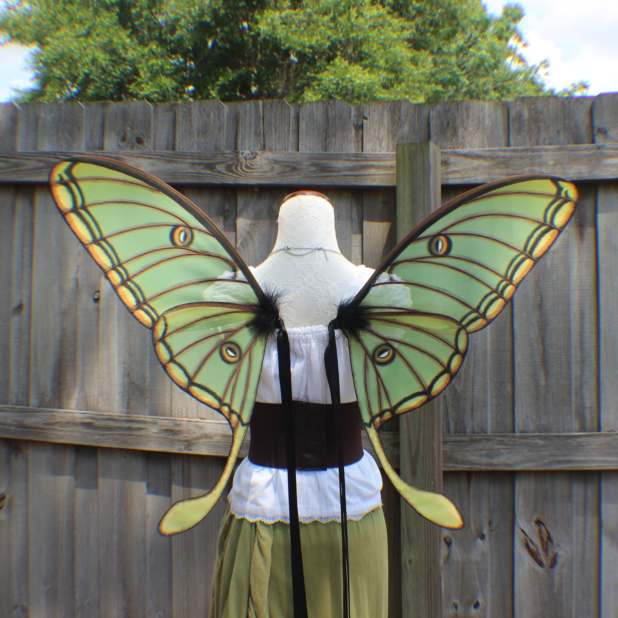 Custom Large Green Hand Painted Spanish Luna Moth Wings - Etsy
