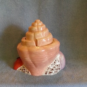 Cookie Jar - Beach Theme Cookie Jar - Nautical Theme Cookie Jar - Shell ...