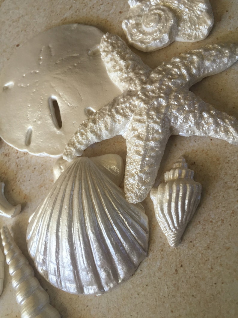 Sugar Seashells Under the Sea Sand Dollars Starfish Edible | Etsy