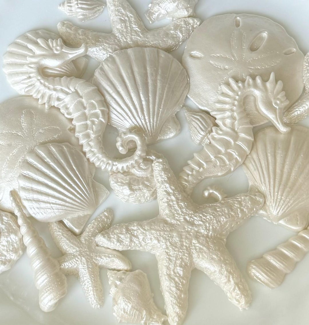 Sugar Seashells, Under the Sea, Sand Dollars, Starfish, Edible ...