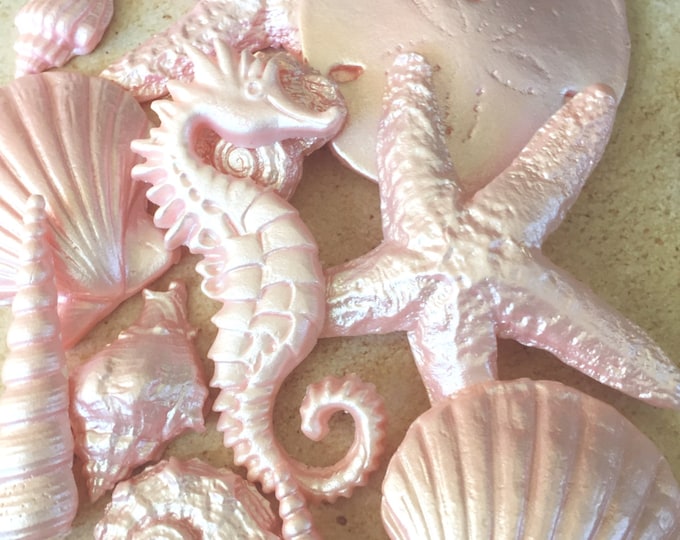Pink Sugar Seashells, Sand Dollars, Starfish, Edible Seashells, Beach ...