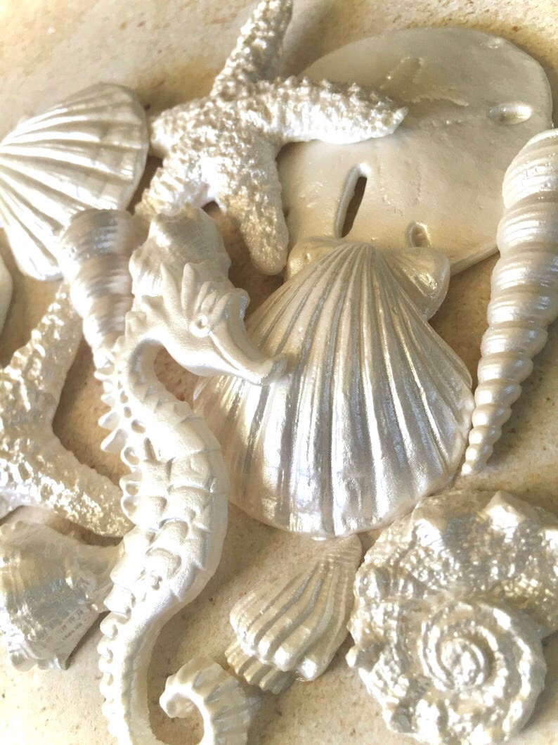Sugar Seashells, Under the Sea, Sand Dollars, Starfish, Edible ...