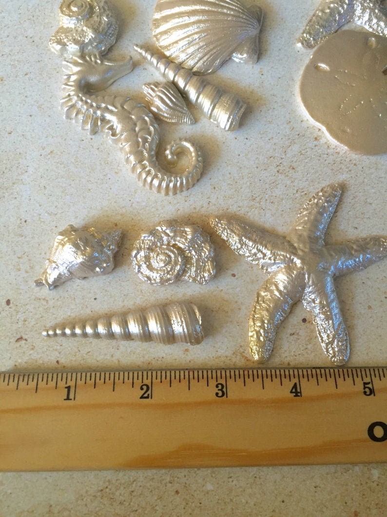 Sugar Seashells, Under the Sea, Sand Dollars, Starfish, Edible ...