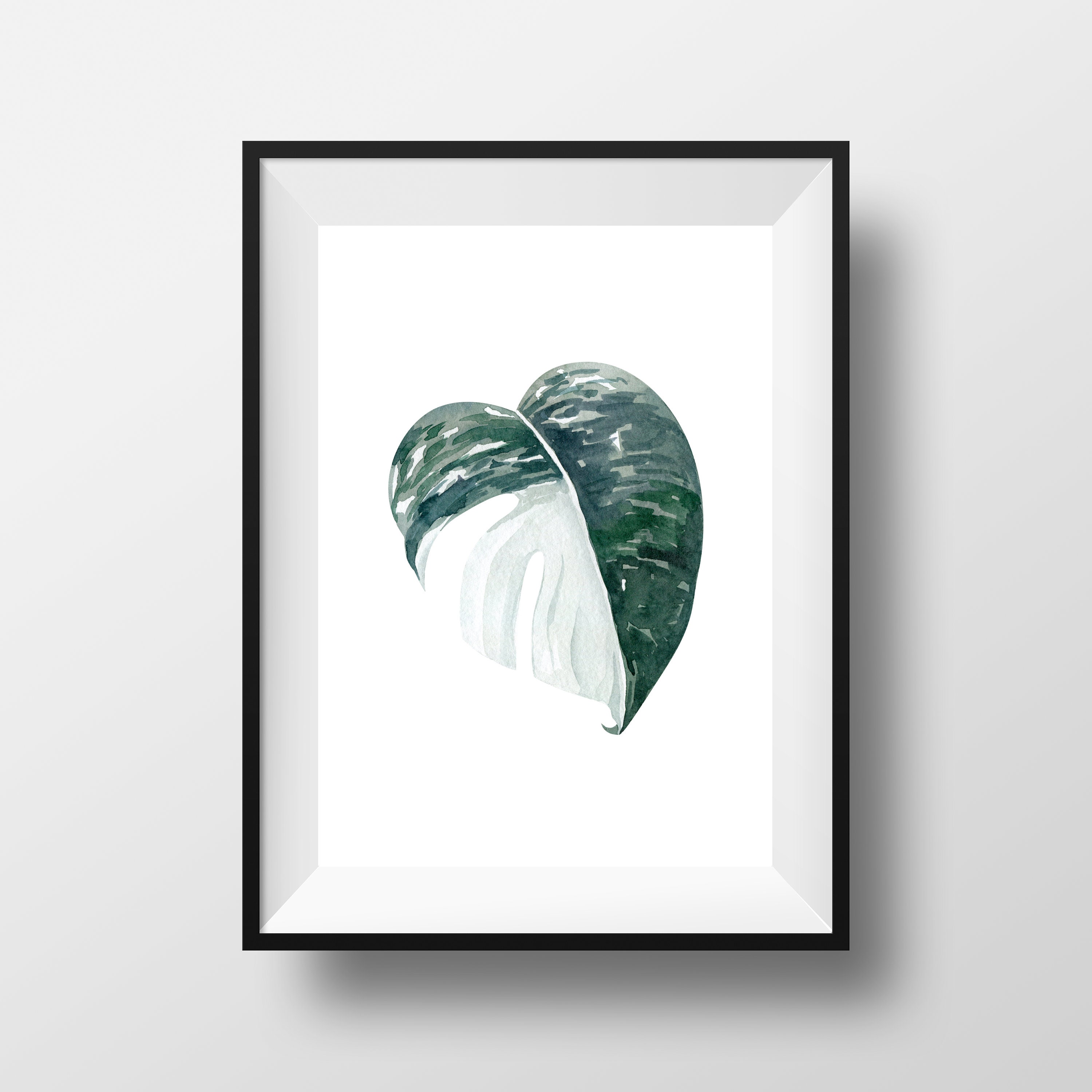 Rare Variegated Monstera Watercolor Digital Art Prints Set of - Etsy