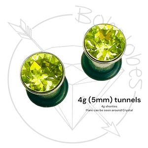 Crystal Stainless Steel Plugs / Tunnels for Gauges / Stretched Ears ...