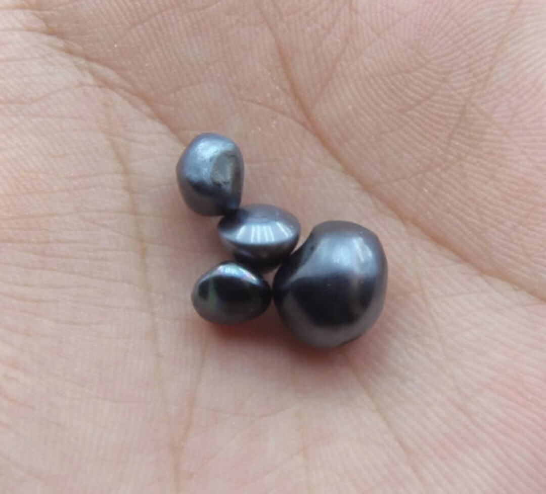Wild Pearl of Philippine Horse Mussel Modiolus Philippinarum - Etsy