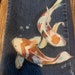 Painted Jeans Hand Painted Koi Fish on Denim Blue Jeans Women's Jeans ...