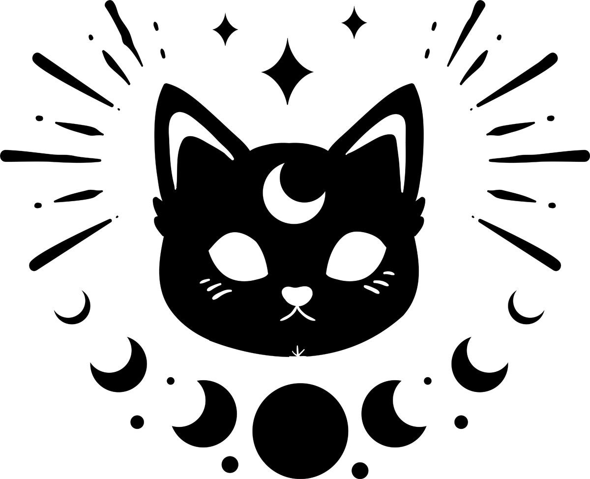 Cat With Moon Phases Vinyl Decal | Etsy
