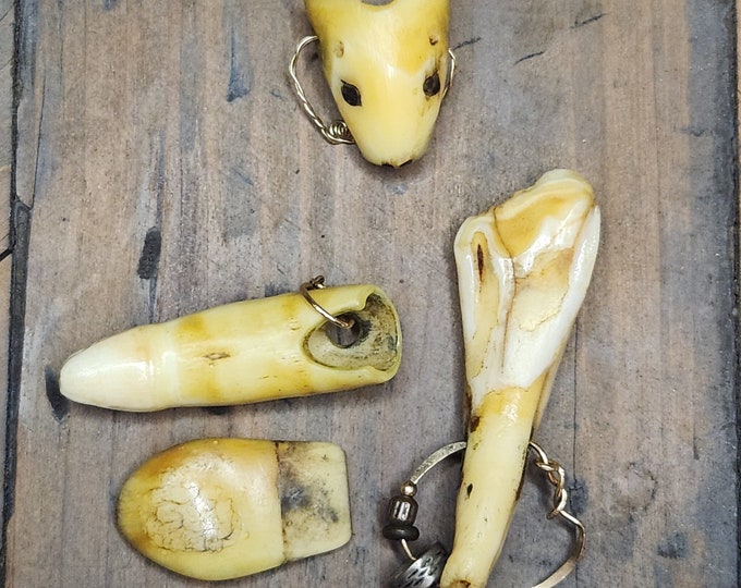 Antique Oddities Victorian Animal Teeth Charms on 10 Kt Gold Wire RARE ...