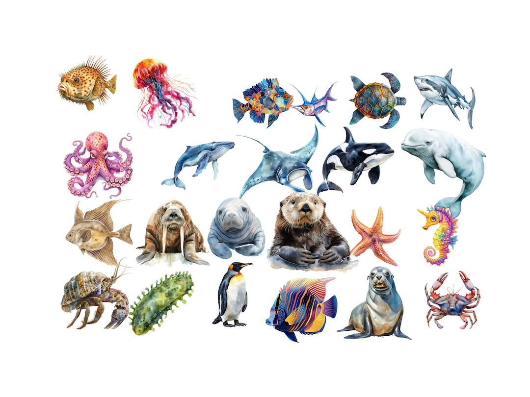 Sea Animal Clipart | Cute Ocean Animals PNG, Underwater Creatures ...