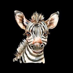 Cute Little Baby Zebra Watercolor Clipart Jungle Animal Baby Shower Png ...
